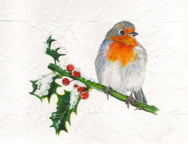 Animals And Insects - sarahking
