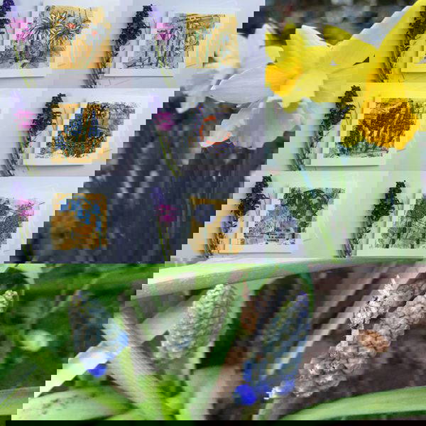 About Sarah - sarahking